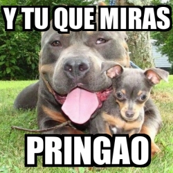 Meme Personalizado - Y tu que miras Pringao - 2646127