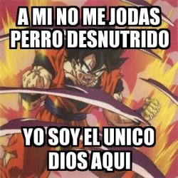 Meme Personalizado - a mi no me jodas perro desnutrido yo soy el unico ...