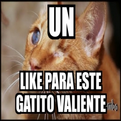 Meme Personalizado - un like para este gatito valiente - 2751409