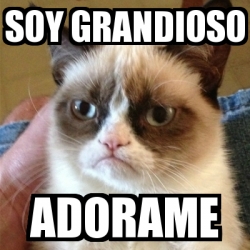Meme Grumpy Cat - Soy grandioso adorame - 2754701