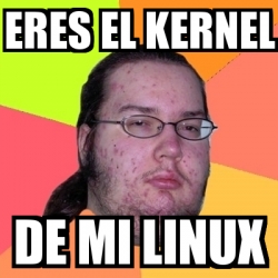 Meme Friki - Eres el kernel DE MI LINUX - 2769340