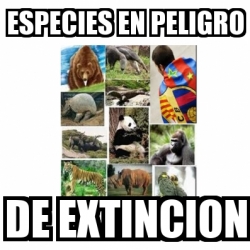 Meme Personalizado - especies en peligro de extincion - 2808539