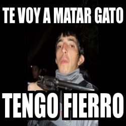 Meme Personalizado - te voy a matar gato tengo fierro - 2809152