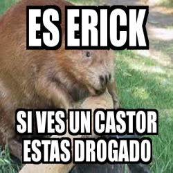 Meme Personalizado - ES ERICK SI VES UN CASTOR ESTAS DROGADO - 2826025
