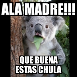 Meme Koala - ALA MADRE!!! QUE BUENA ESTAS CHULA - 2094840
