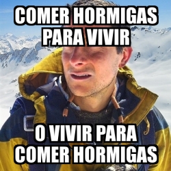 Meme Bear Grylls - comer hormigas para vivir o vivir para comer ...