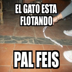 Meme Personalizado - el gato esta flotando pal feis - 2919734