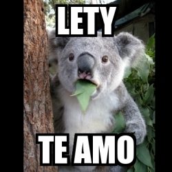 Meme Koala - lety te amo - 2969297