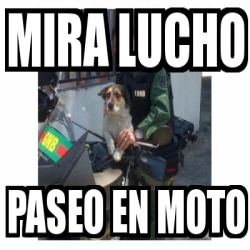 Meme Personalizado - mira lucho PASEO EN MOTO - 2987728
