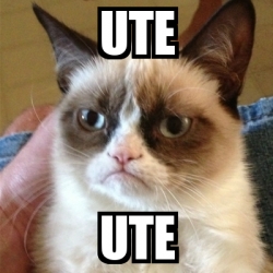 Meme Grumpy Cat - UTE UTE - 2994745