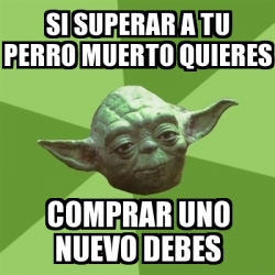 Meme Yoda - Si superar a tu perro muerto quieres comprar uno nuevo ...