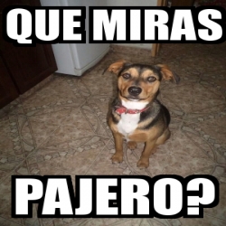 Meme Personalizado - que miras pajero? - 20122597