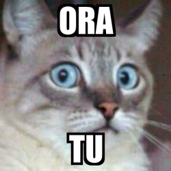 Meme Personalizado - Ora Tu - 20151862