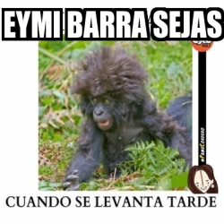 Meme Personalizado - Eymi Barra Sejas - 20164521