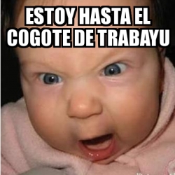 Meme Bebe furioso - Estoy hasta el cogote de trabayu - 20174327