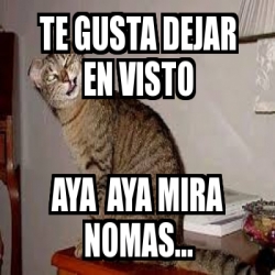 Meme Personalizado - te gusta dejar en visto aya aya mira nomas ...