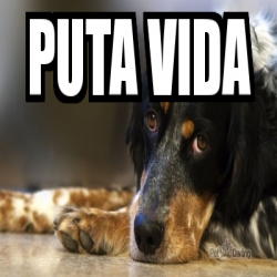 Meme Personalizado - PUTA VIDA - 20194443