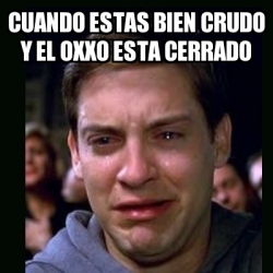 Meme crying peter parker - cuando estas bien crudo y el oxxo esta ...