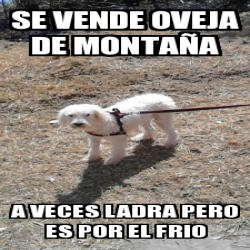 Meme Personalizado - se vende oveja de montaÃ±a a veces ladra pero es ...