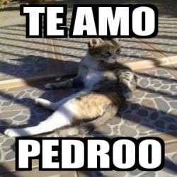 Meme Personalizado - te amo pedroo - 20283185