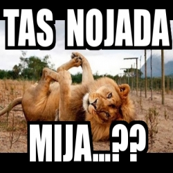 Meme Personalizado - tas nojada mija...?? - 20289492