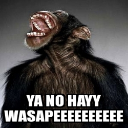 Meme Personalizado - ya no hayy wasapeeeeeeeeee - 20304108
