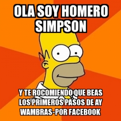 Meme Homer - ola soy homero simpson y te rocomiendo que beas los ...