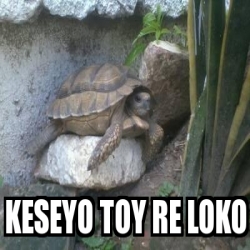 Meme Personalizado - Keseyo toy re loko - 20057989