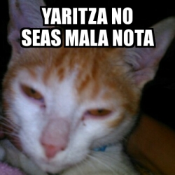 Meme Personalizado - Yaritza no seas mala nota - 20534866