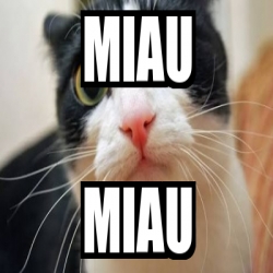 Meme Personalizado - Miau Miau - 20547432