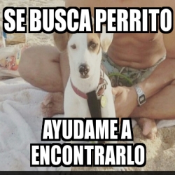 Meme Personalizado - SE BUSCA PERRITO AYUDAME A ENCONTRARLO - 20061292