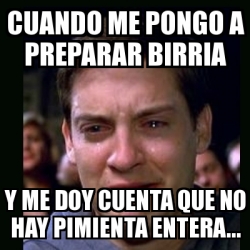 Meme crying peter parker - Cuando me pongo a preparar birria y me doy ...