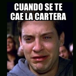 Meme crying peter parker - cuando se te cae la cartera - 20075743