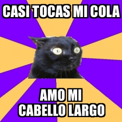 Meme Anxiety Cat - casi tocas mi cola amo mi cabello largo - 20728523