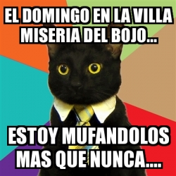 Meme Business Cat - el domingo en la villa miseria del bojo... estoy ...