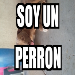 Meme Personalizado - soy un perron - 20082074