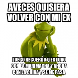 Meme Kermit the frog - aveces quisiera volver con mi ex luego recuerdo ...