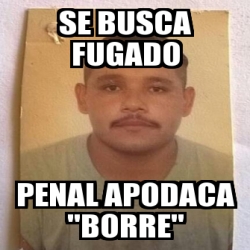 Meme Personalizado - Se busca fugado Penal apodaca "borre" - 20880601