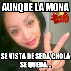 Meme Personalizado - aunque la mona se vista de seda,chola se queda ...