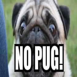 Meme Personalizado - no pug! - 21316741
