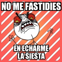 Meme I Hate - no me fastidies en echarme la siesta - 21497160