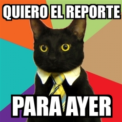 Meme Business Cat - quiero el reporte para ayer - 21538393