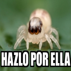 Meme Personalizado - Hazlo por ella - 21540088