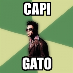 Meme Tyler Durden - capi gato - 21566861