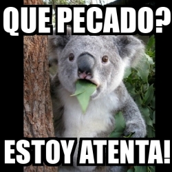 Meme Koala - Que pecado? Estoy atenta! - 21568829