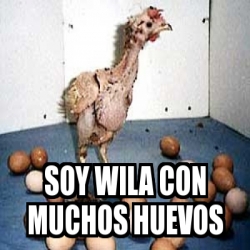 Meme Personalizado - soy wila con muchos huevos - 21592497