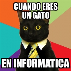 Meme Business Cat - cuando eres un gato en informatica - 21592713