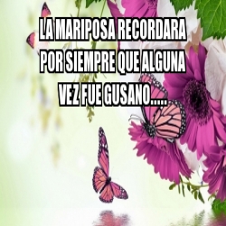 Meme Personalizado - la mariposa recordara por siempre que alguna vez ...
