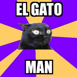 Meme Anxiety Cat - EL GATO MAN - 21733582