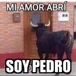 Meme Personalizado - SOY PEDRO - 21819615